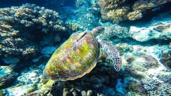 SYKE Travel & Tours - Your Travel Agency for Bantayan Island